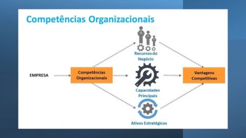 Competências Organizacionais | Thinkerest Consultoria